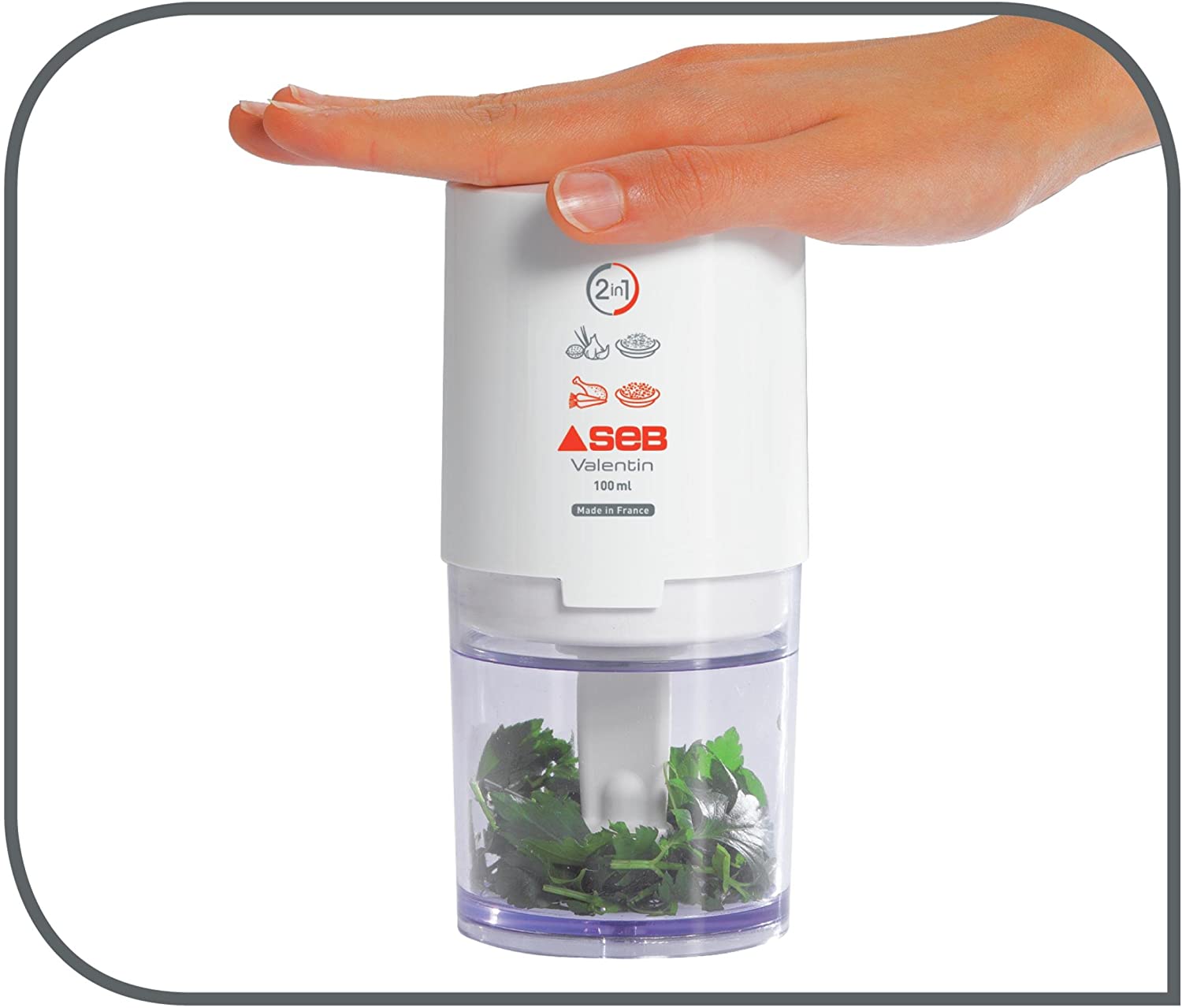 MINI HACHOIR SEB BLANC 855306﻿ - Sache maison et déco vente en ligne ...