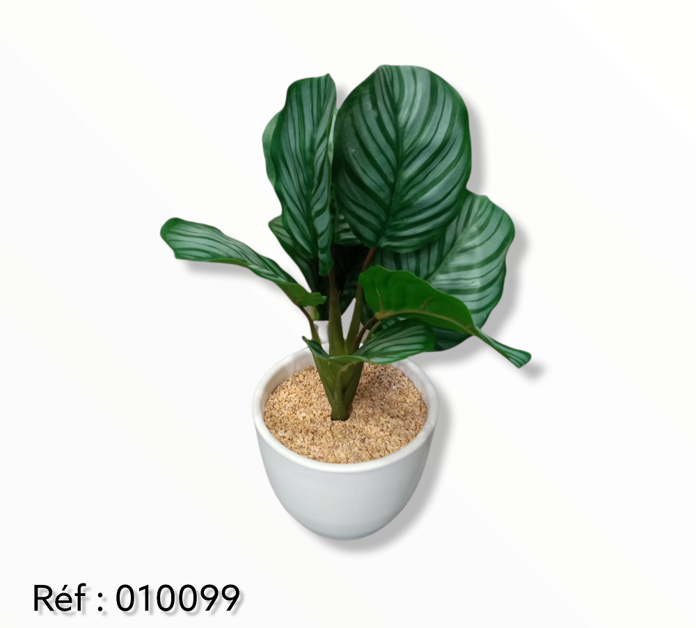 MINI PALMIER BO7E4995﻿ - Sache maison et déco vente en ligne vaisselle ...