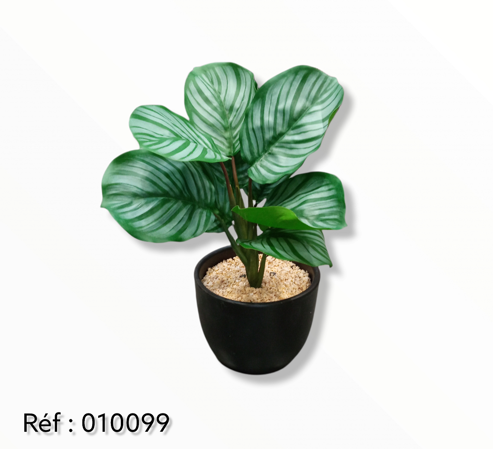 MINI PALMIER BO7E4995﻿ - Sache maison et déco vente en ligne vaisselle ...